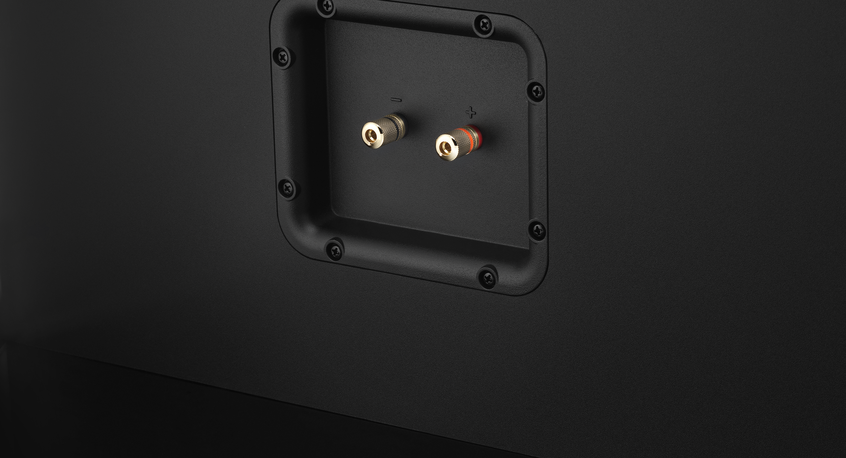SSW-2 | Dual 12” (300mm) Passive Subwoofer